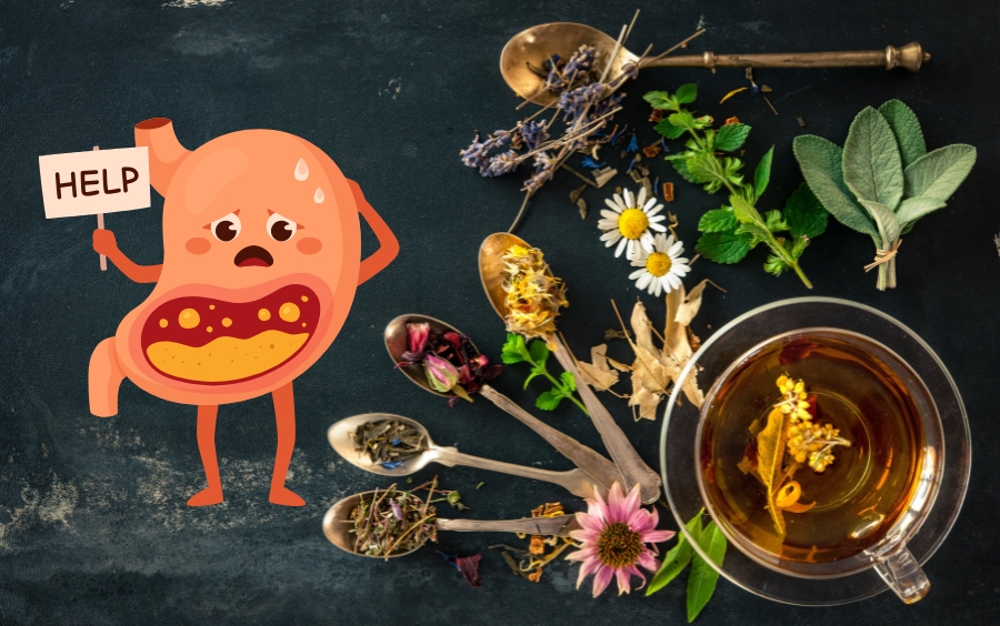 10 Best Teas for Upset Stomach, Bloating And Digestion: Natural Relief ...