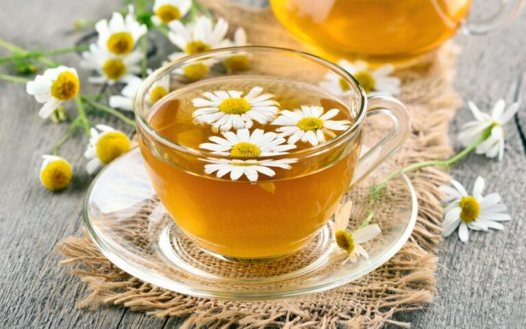 10 Best Teas for Upset Stomach, Bloating And Digestion: Natural Relief ...